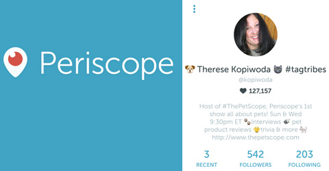 The livestreaming app Periscope and how people are using it